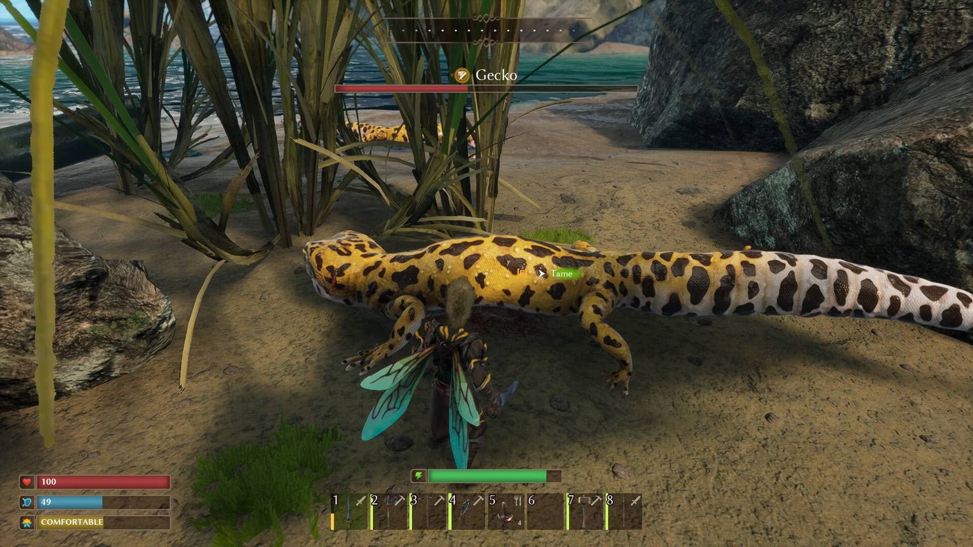 Smalland Taming Guide - Lawod