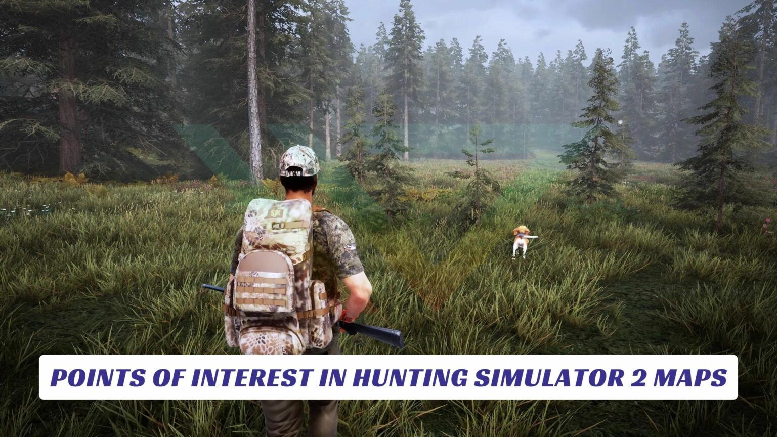 Points Of Interest In Hunting Simulator 2 Maps - Lawod