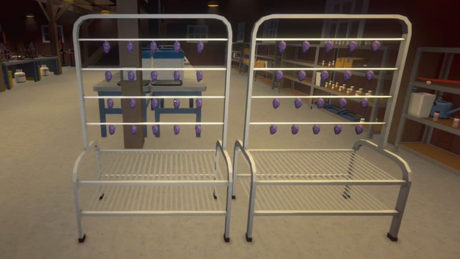 How To Use Drying Racks In Schedule 1? - Lawod
