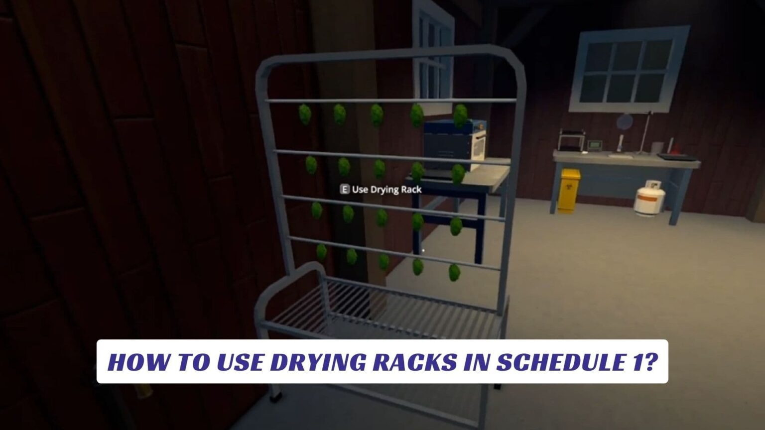 How To Use Drying Racks In Schedule 1? - Lawod