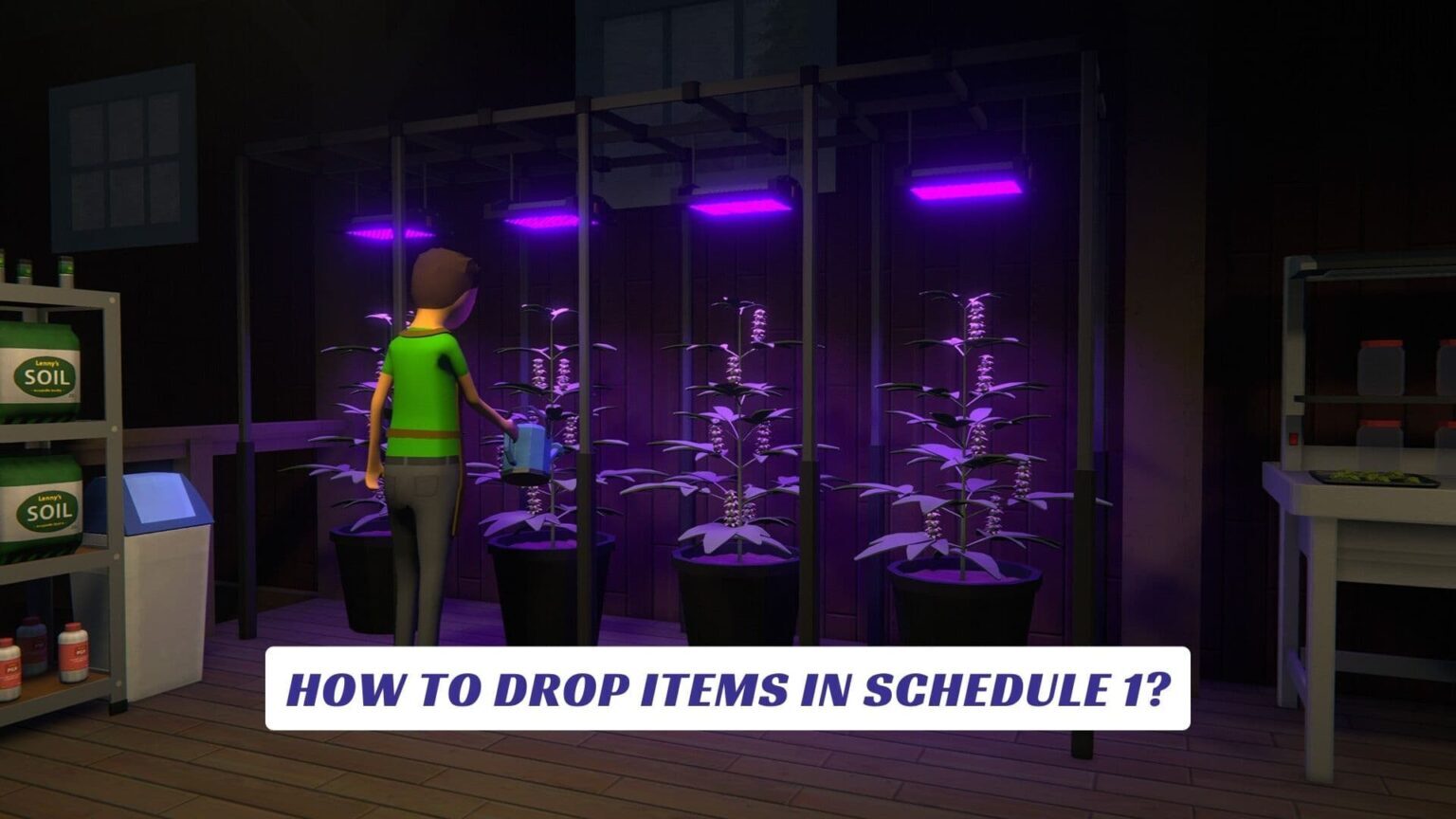 How To Drop Items In Schedule 1? - Lawod