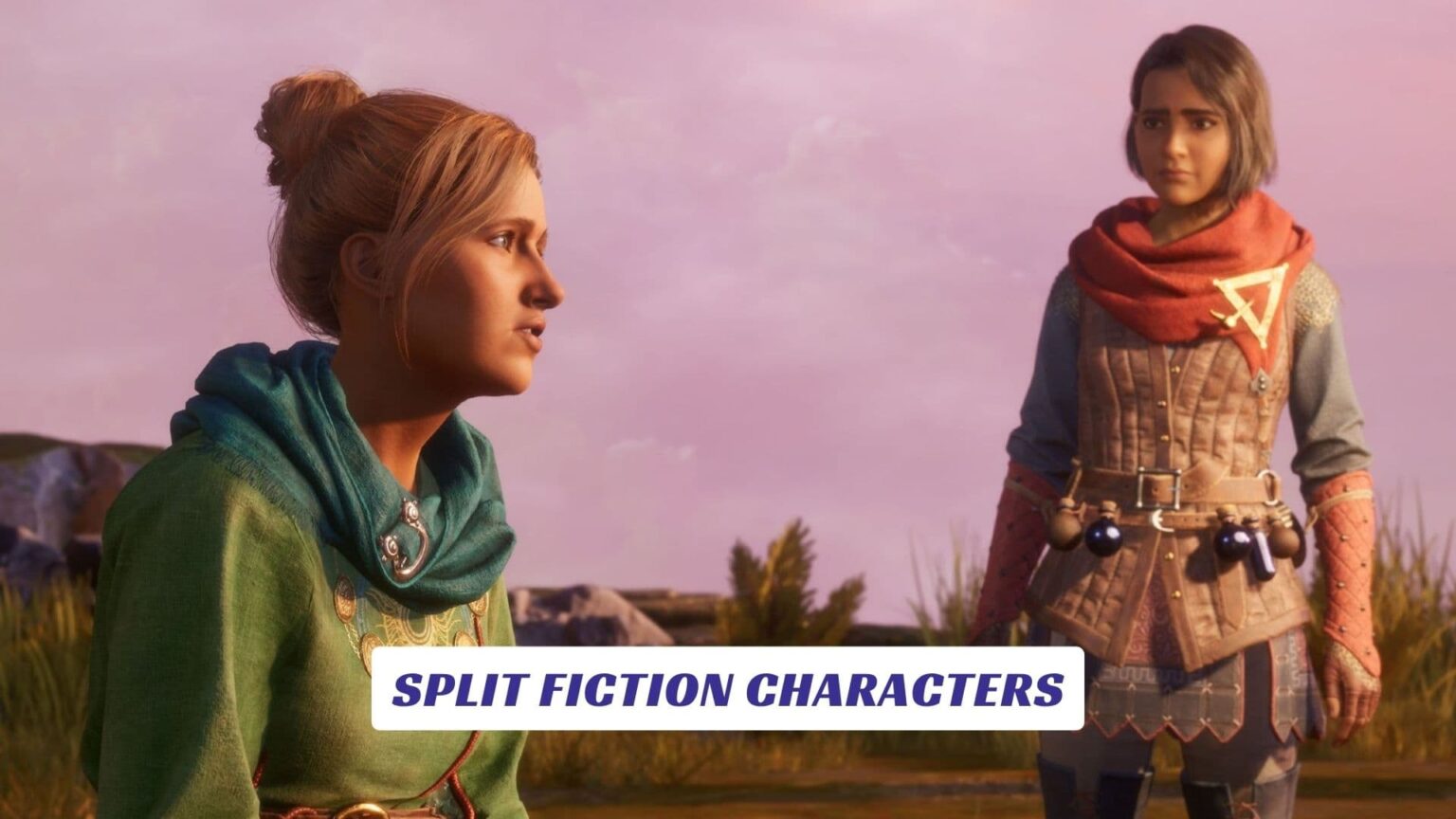 Split Fiction Characters - Lawod