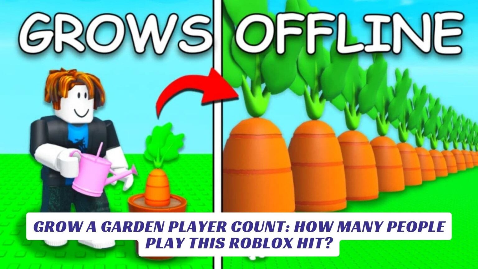 Grow A Garden Player Count: How Many People Play This Roblox Hit? - Lawod