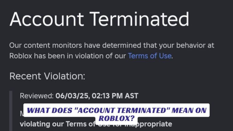 What Does "Account Terminated" Mean On Roblox? - Lawod